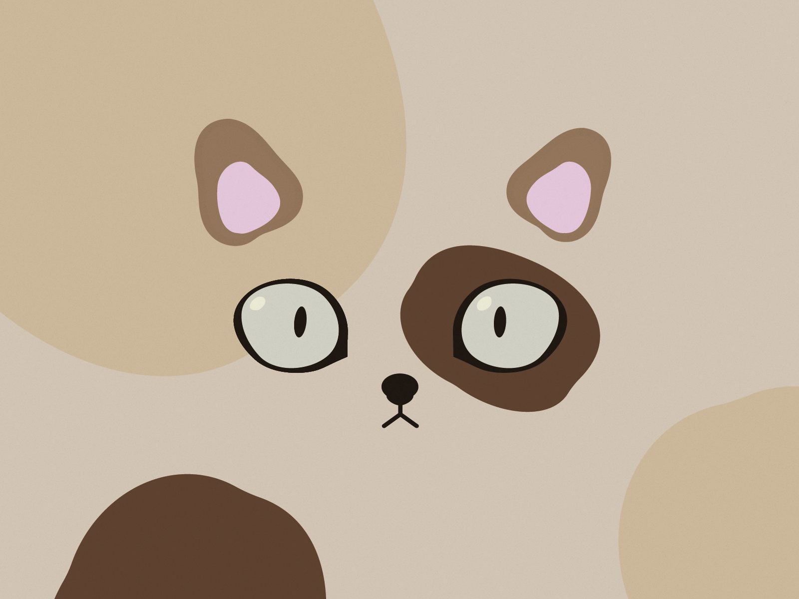 CAT by Vivian Wu on Dribbble