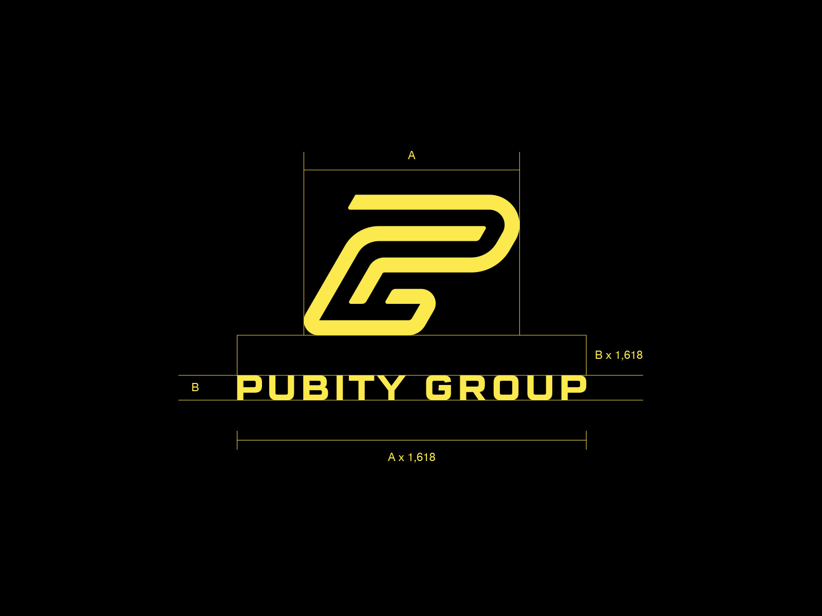 Pubity Group by Gert van Duinen on Dribbble