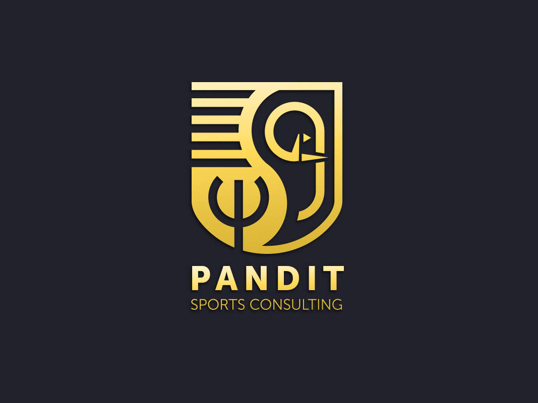 Pandit 1 by Burg Balázs on Dribbble
