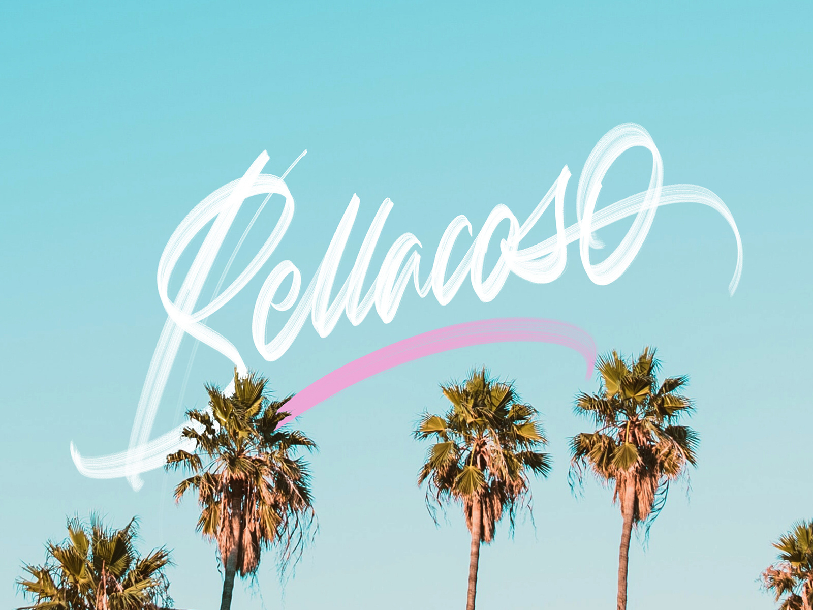 Bellacoso - v3 by Victor Rosario on Dribbble