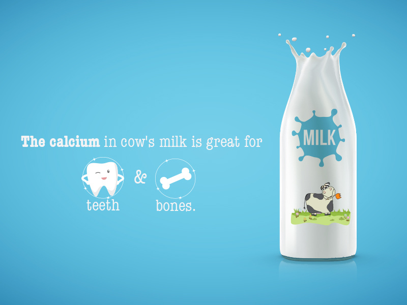 The Calcium In Cows Milk by Sugandhi on Dribbble