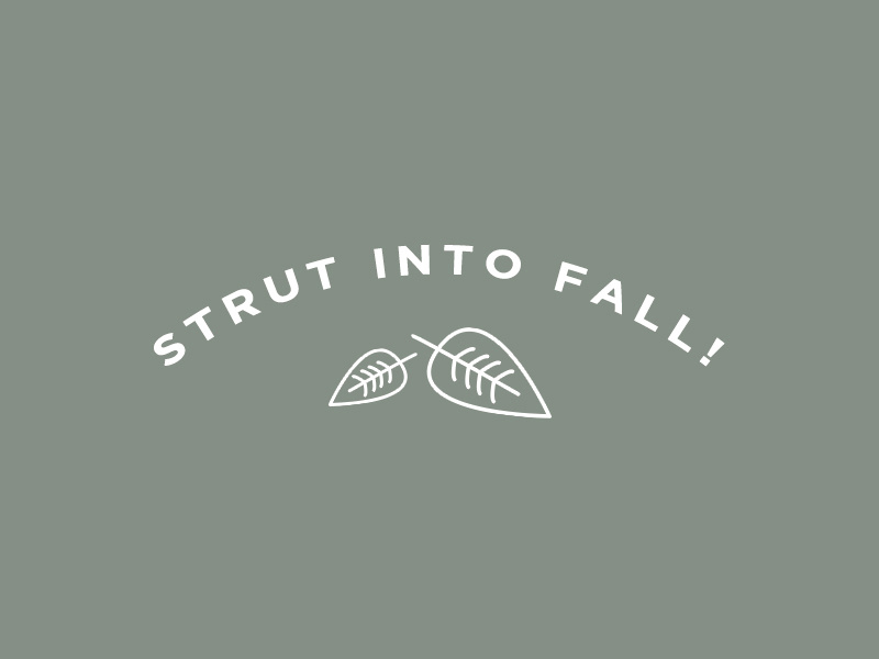 Fall Email Headline by Katherine Weis on Dribbble