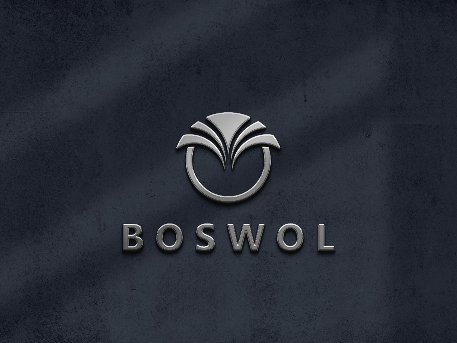 BOSWOL - Logo Design by Ibrar Ali on Dribbble