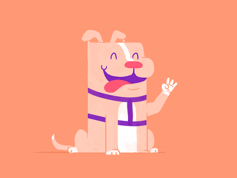 Mely's turning three! by Faze design studio on Dribbble