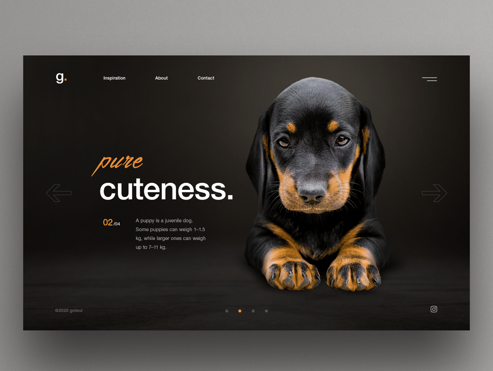 Dog Banner Design by Vraj Technosys on Dribbble