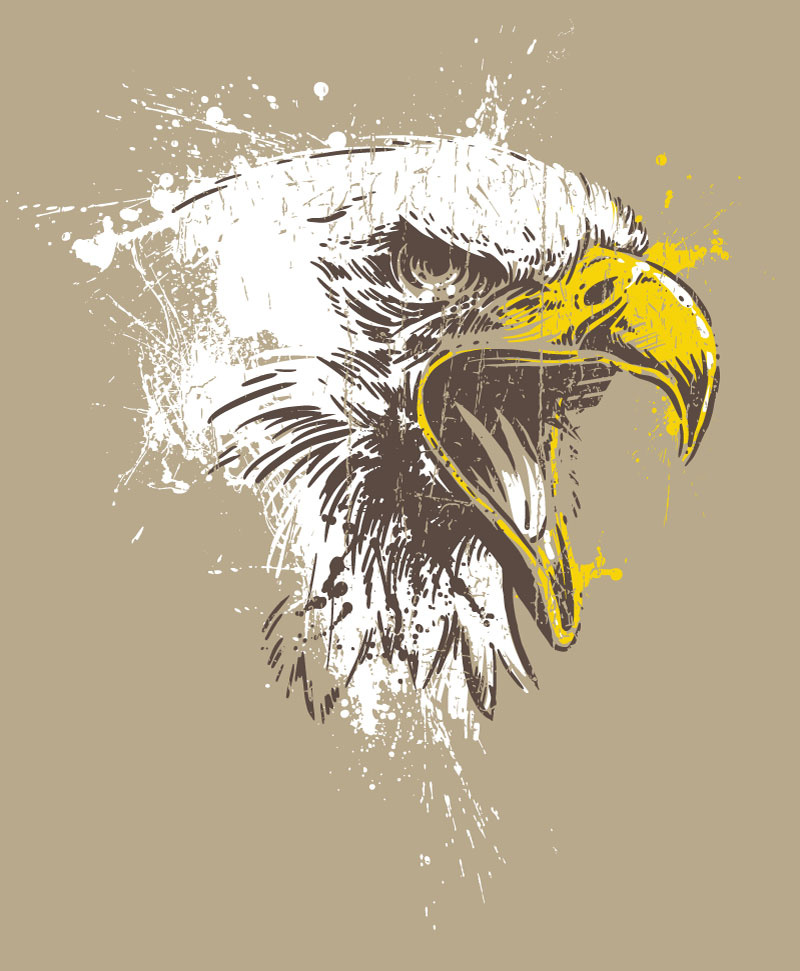 Screaming Eagle by Dave Turton on Dribbble