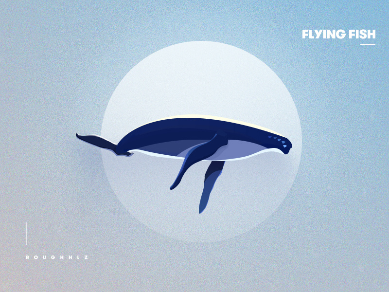 Flying fish～ by ZhuangLiu on Dribbble