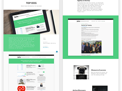 Root { Codex } Software Developer's website redesign by Daniil Bogoradov on Dribbble