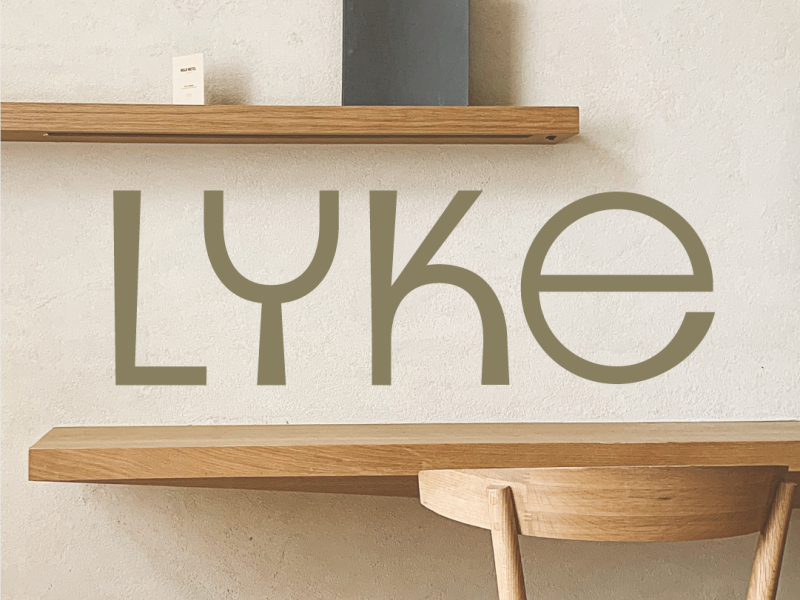 Branding & Logo Design for LYKE by Haley Helmold on Dribbble