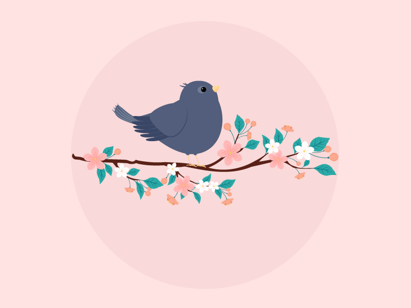 bird illustrator by 泱泱 on Dribbble