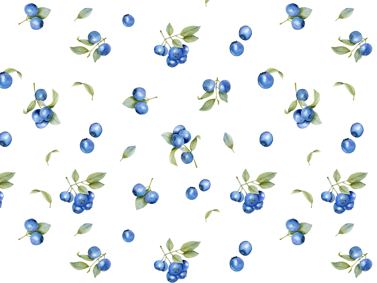 Blueberry by Selina Hossain on Dribbble