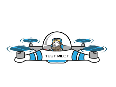 Test Pilot by Daryl Tapiru on Dribbble