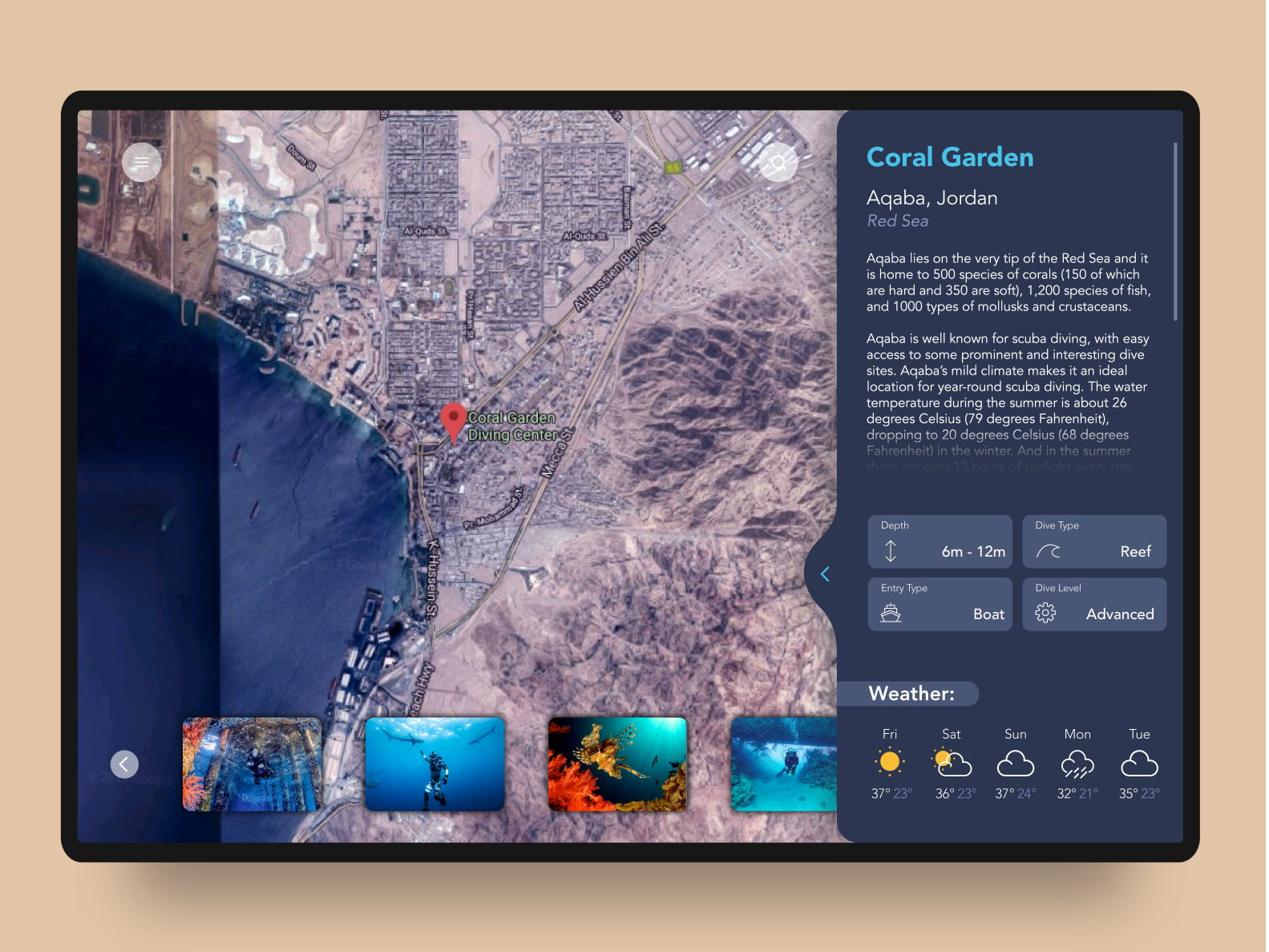 Web Interface - Diving database by Alexander Currimjee on Dribbble