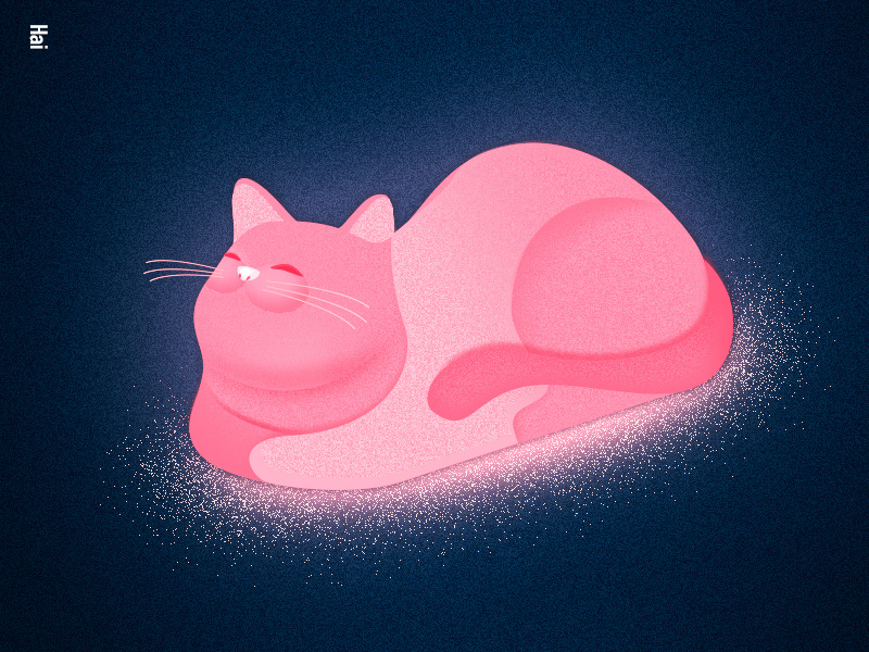 CAT by Hai on Dribbble