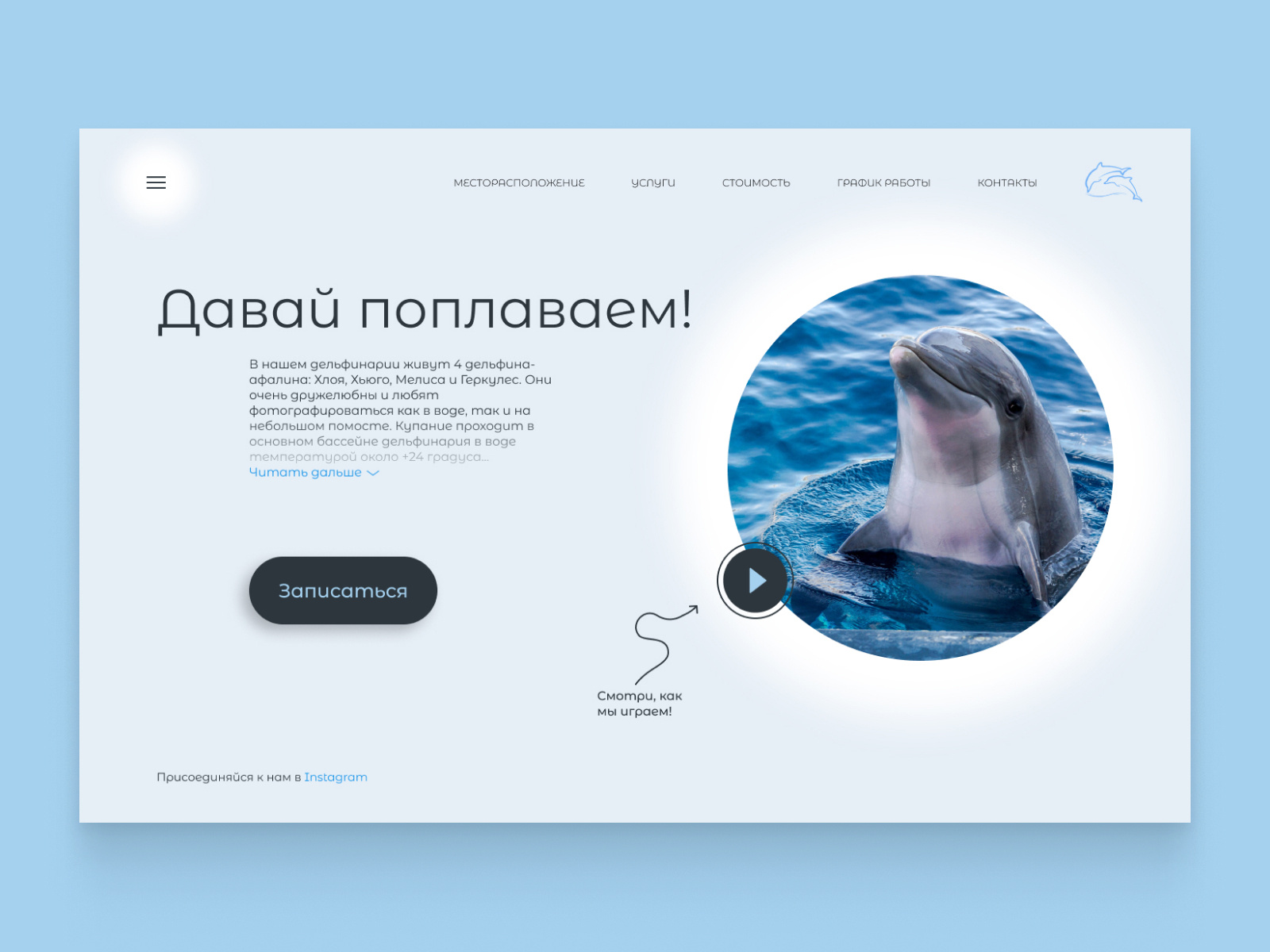 Dolphinarium Design Concept by Julia Boldovskaya on Dribbble
