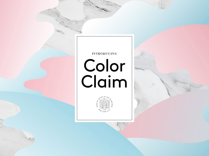 Color Inspiration - Color Claim by Tobias van Schneider on Dribbble