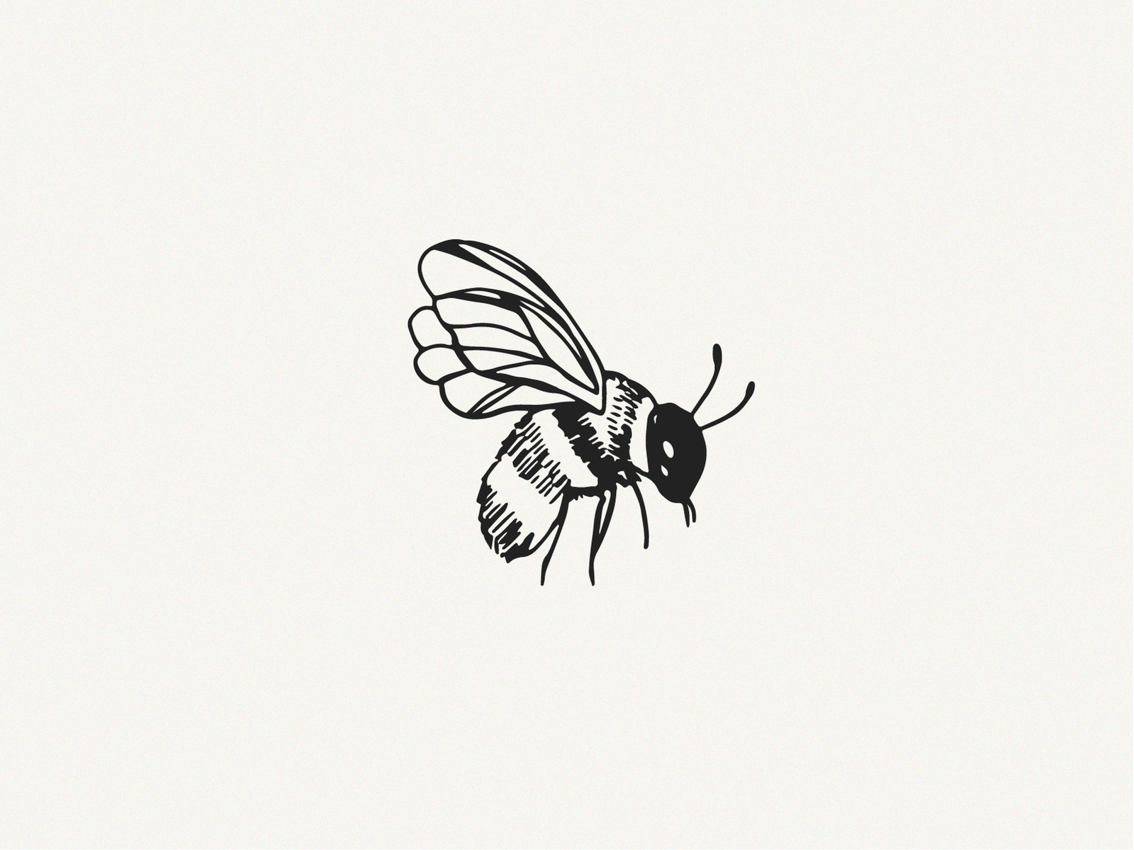Hive & Hoof Bee Illustration by Whitney Regeth on Dribbble