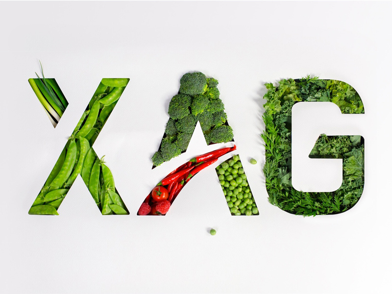 XAG logo by Teetwo on Dribbble