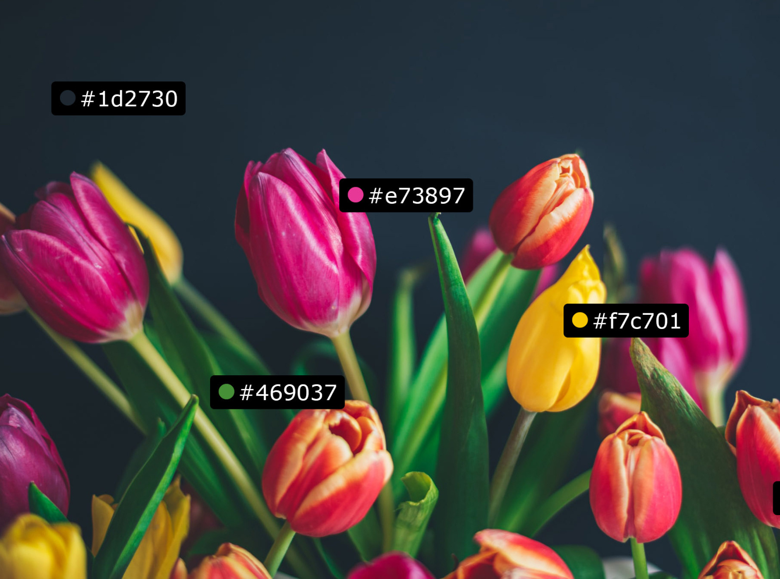 Specs - Color Annotation Example by Simon Henke on Dribbble