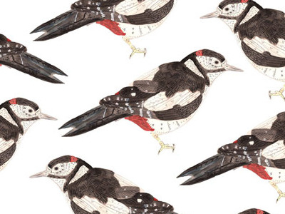Woodpecker pattern by Emily Barrell on Dribbble