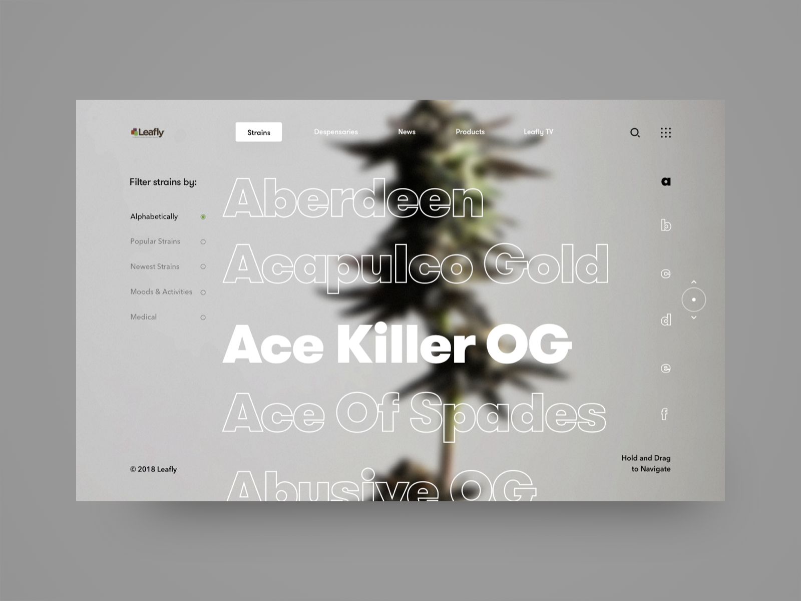 Dribbble - dribbble_post.png by Matthew Hall