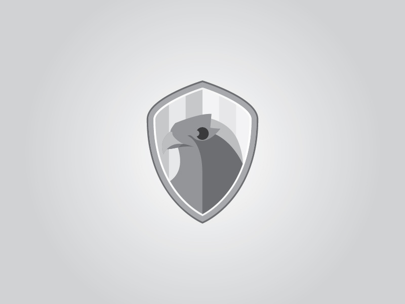 The Falconer Crest by jomurgel on Dribbble