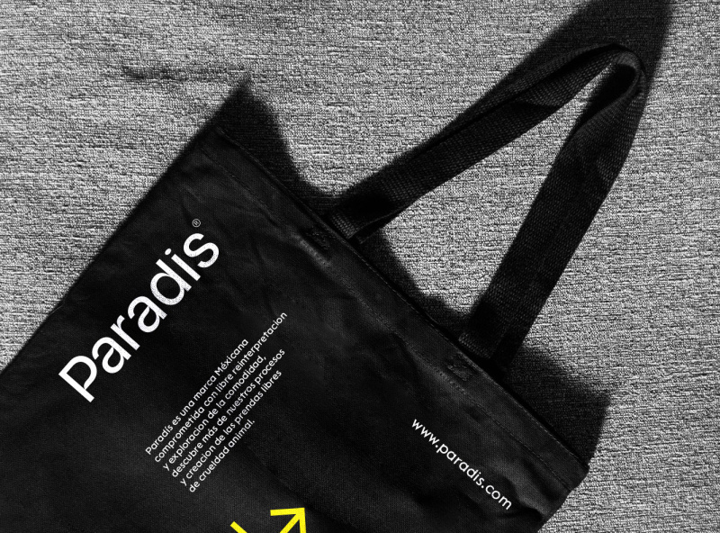 Paradis by Tomás Salazar on Dribbble