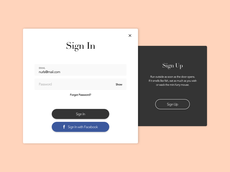 Daily UI #001 - Sign In by Nurlin Adillia on Dribbble