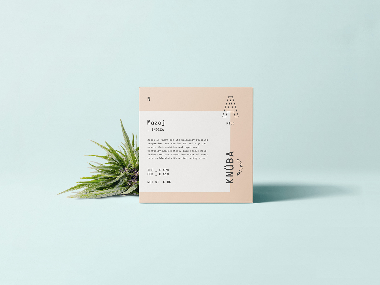 Brand Identity & Packaging Design by Kirill Kuznetsov on Dribbble