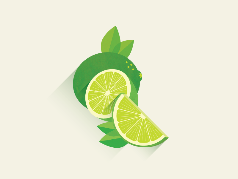 Key Lime by Blake Kathryn on Dribbble