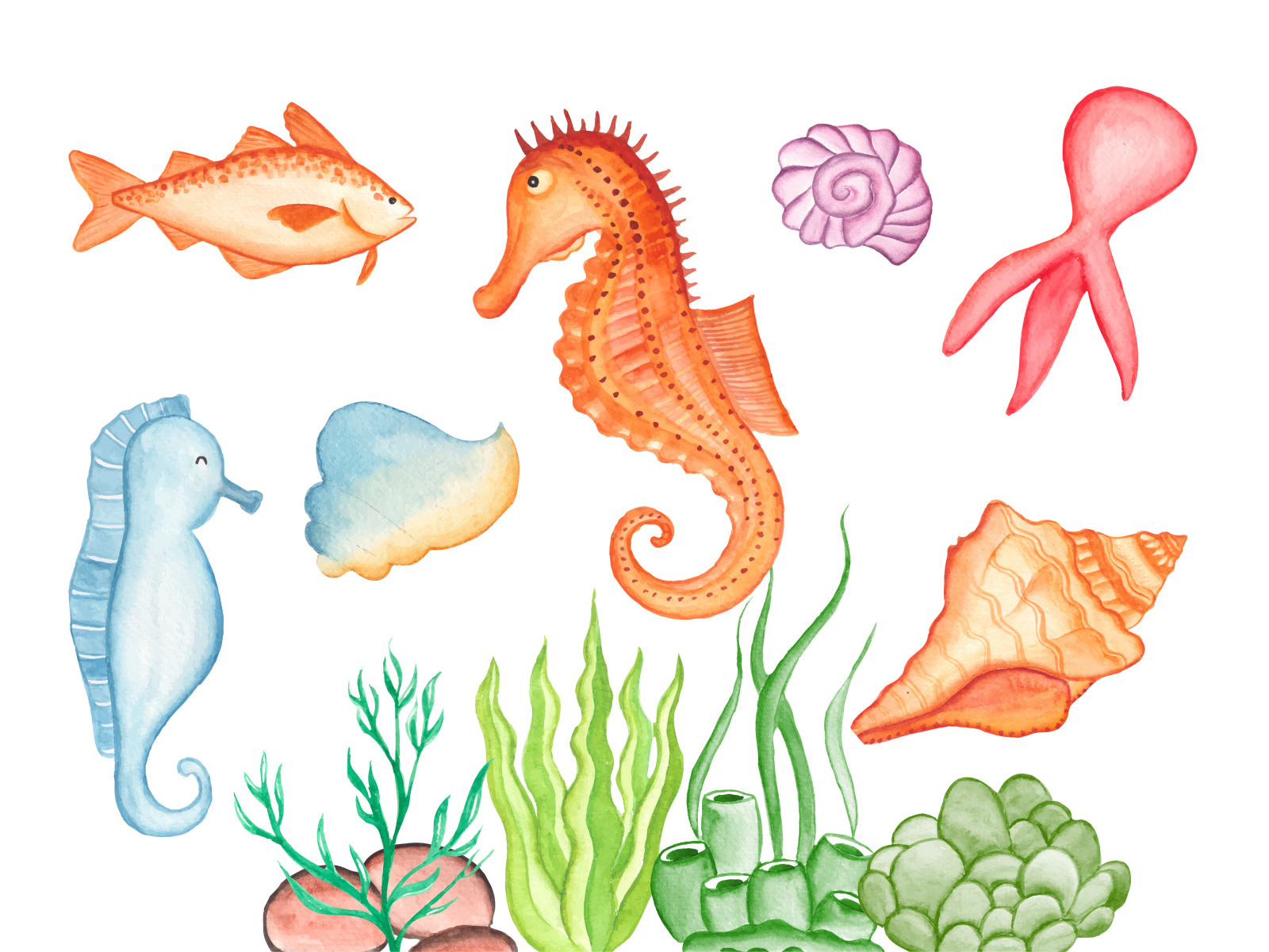 Under The Sea Watercolor Clipart Set by Nazzasi Chowdhury on Dribbble