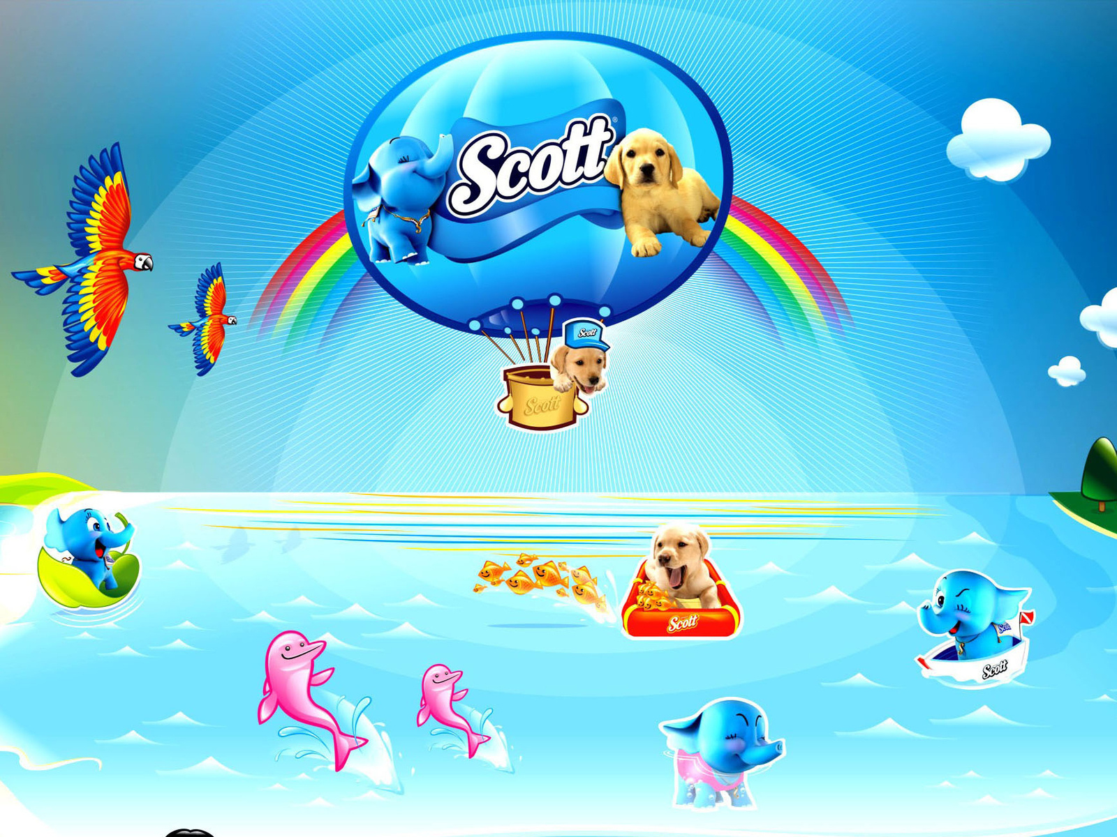 Poster for SCOTT by TASK | Branding, Marketing & Design Studio on Dribbble