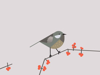 Nerdkart by Hubi Farago on Dribbble