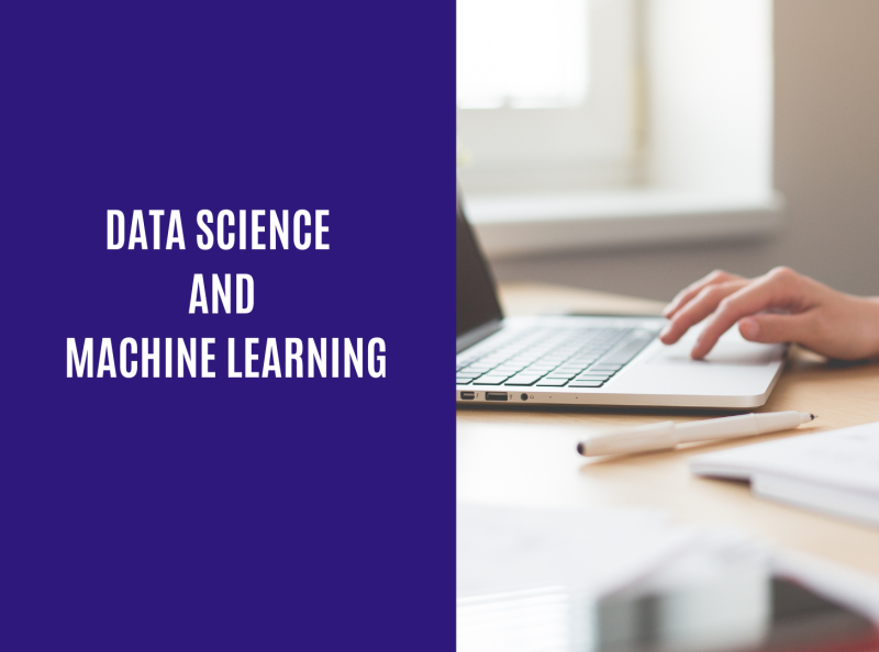 Anvika rajput | Dribbble