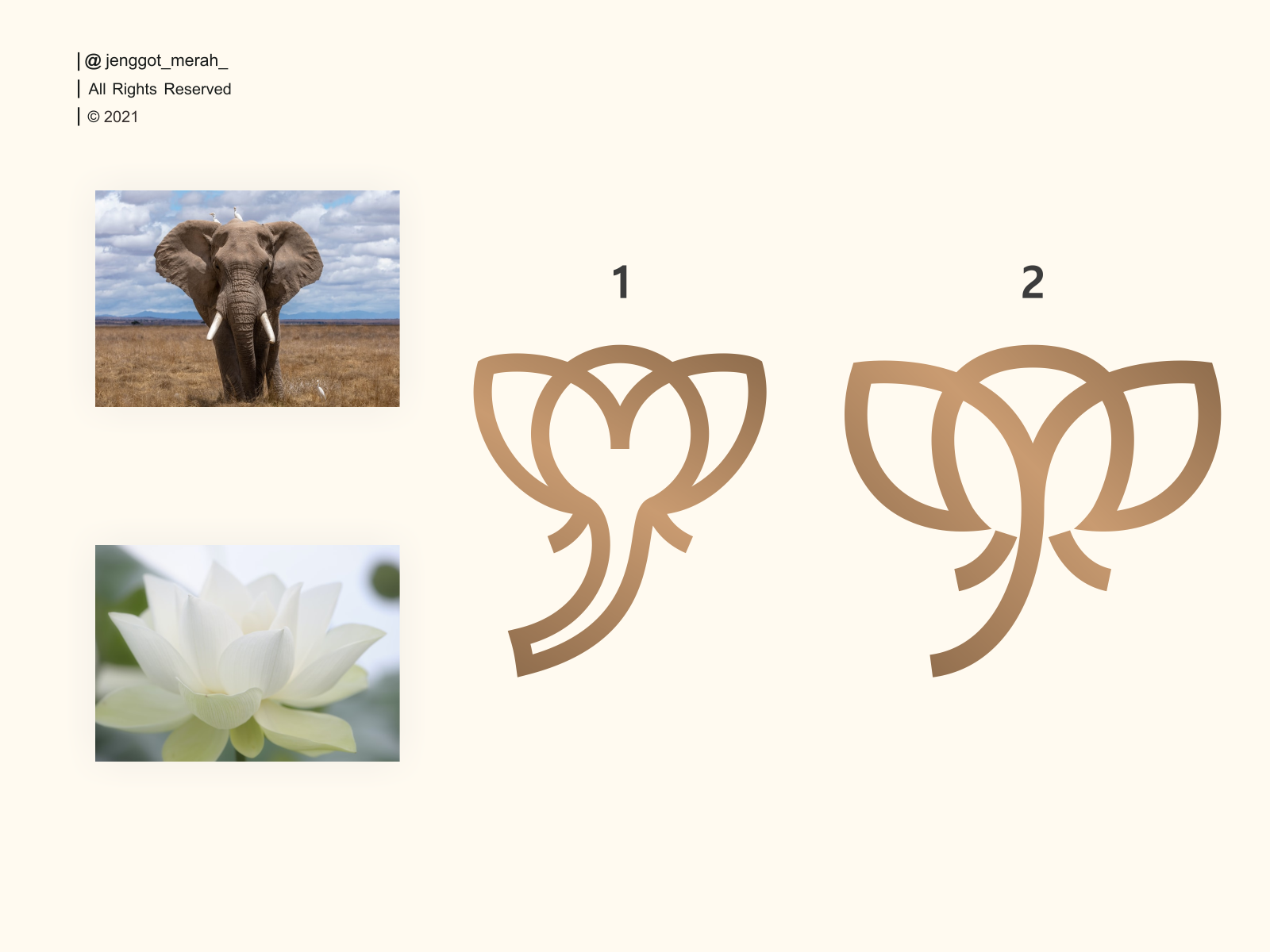 ELEPHAN FLOWER LOGO DESIGNS by Jenggot Merah on Dribbble