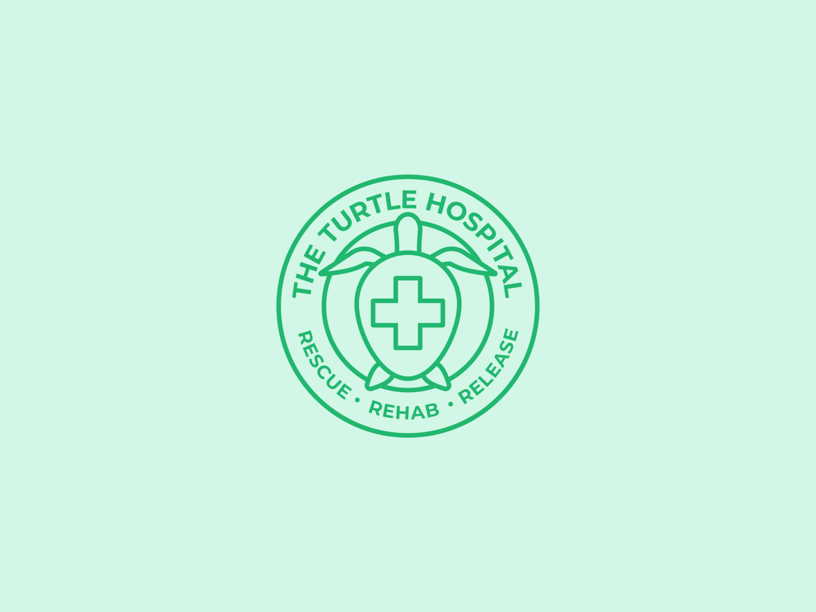 The Turtle Hospital by Allison Pastor on Dribbble