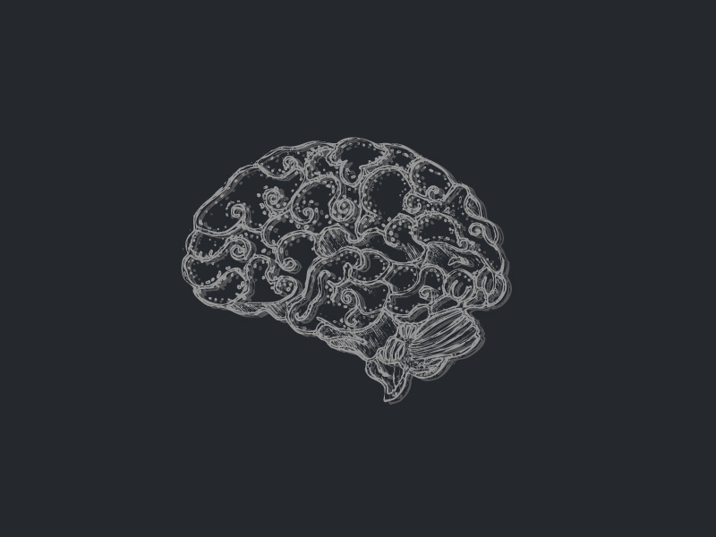 Brain, Hand drawn by Michael V. on Dribbble