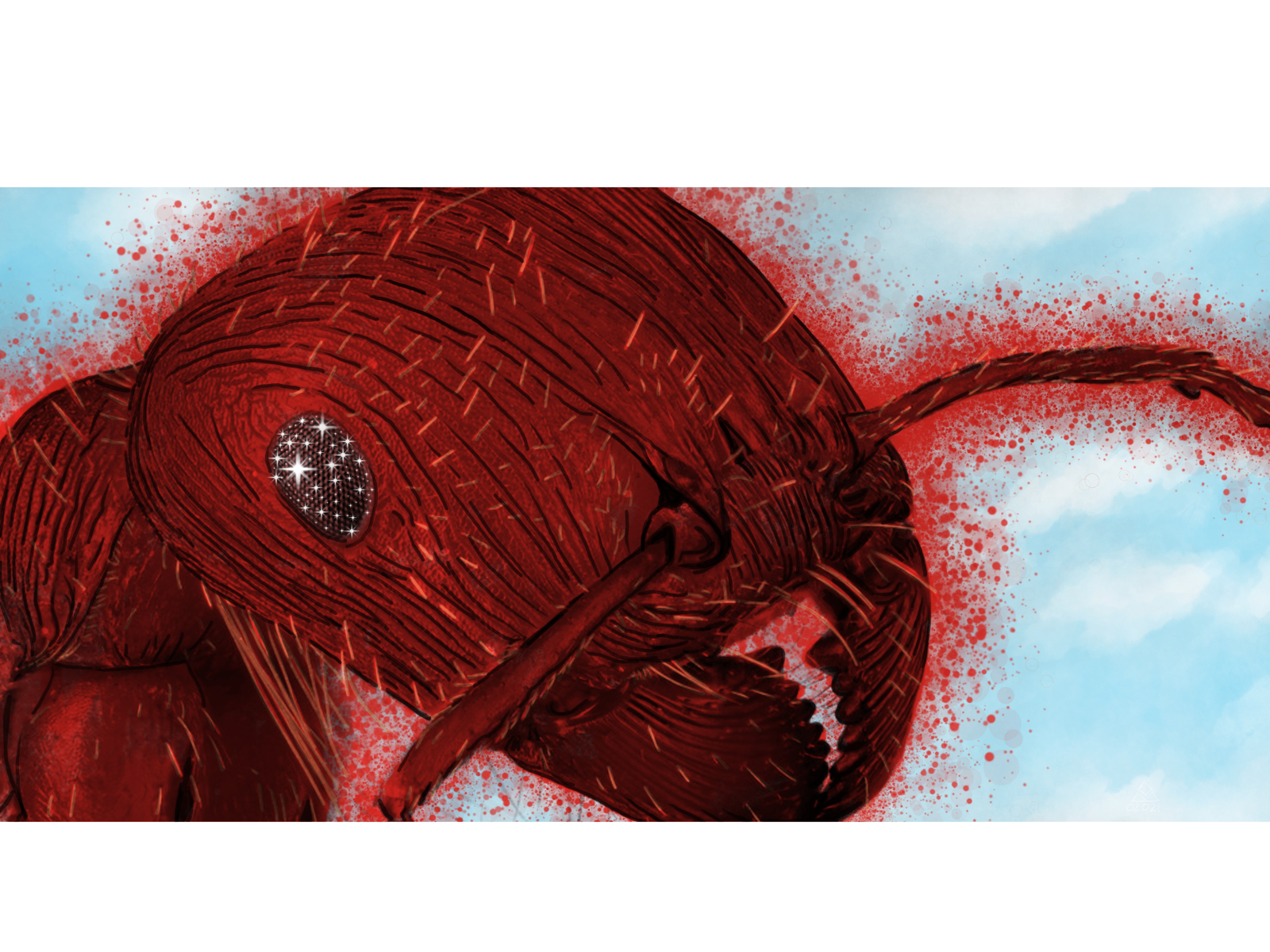 Pop-ant by Matt Ahlschwede on Dribbble