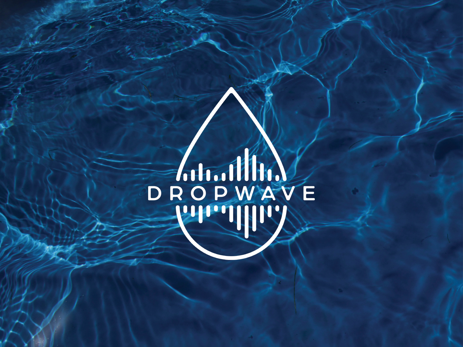 Dropwave Logo Design by Madbear Creative Agency LLC on Dribbble