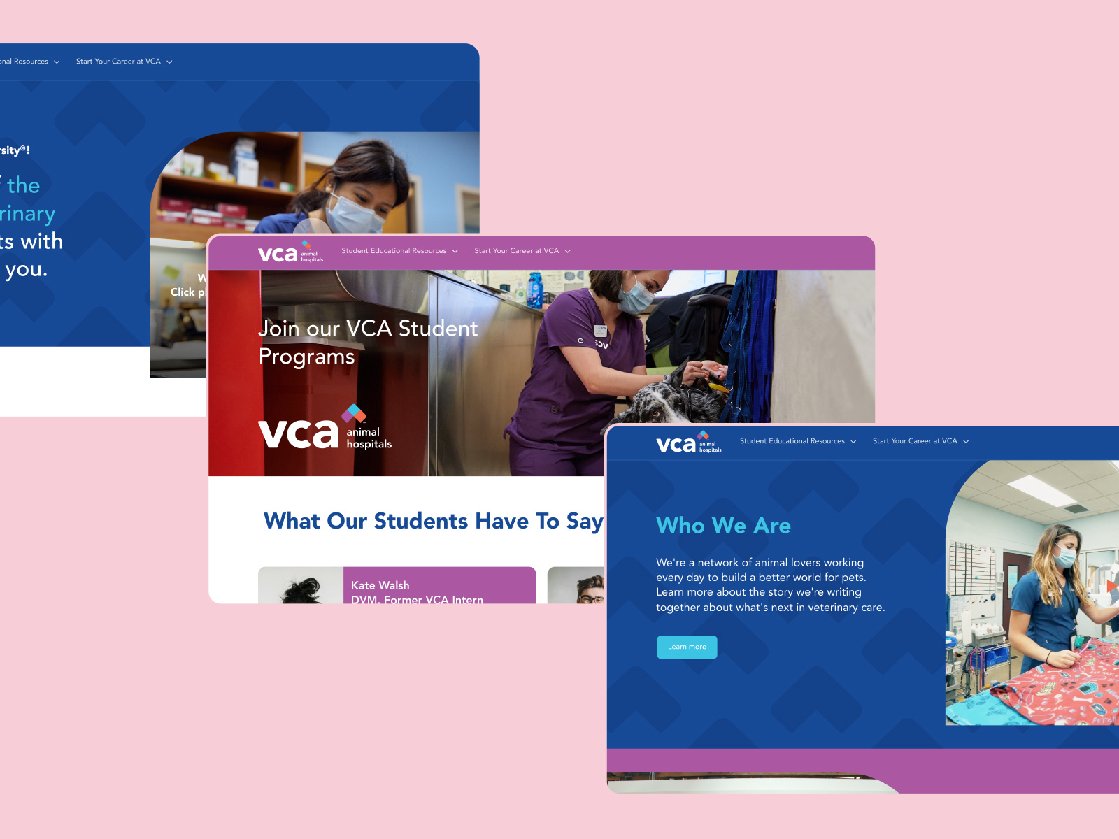 VCA by Birdie Tiger on Dribbble