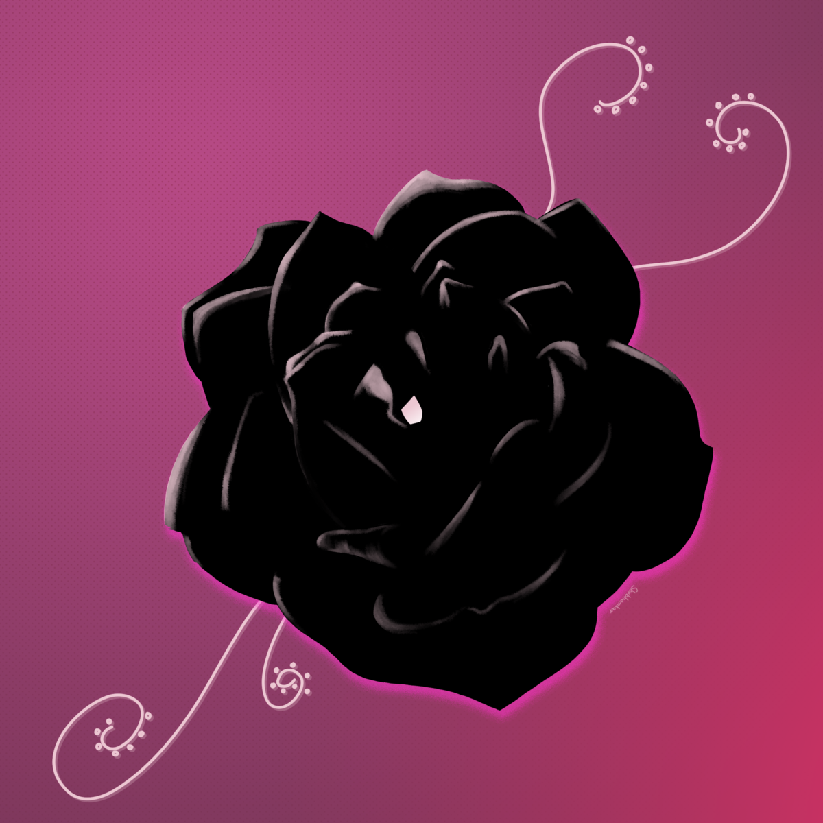 black rose by Shubhankar on Dribbble
