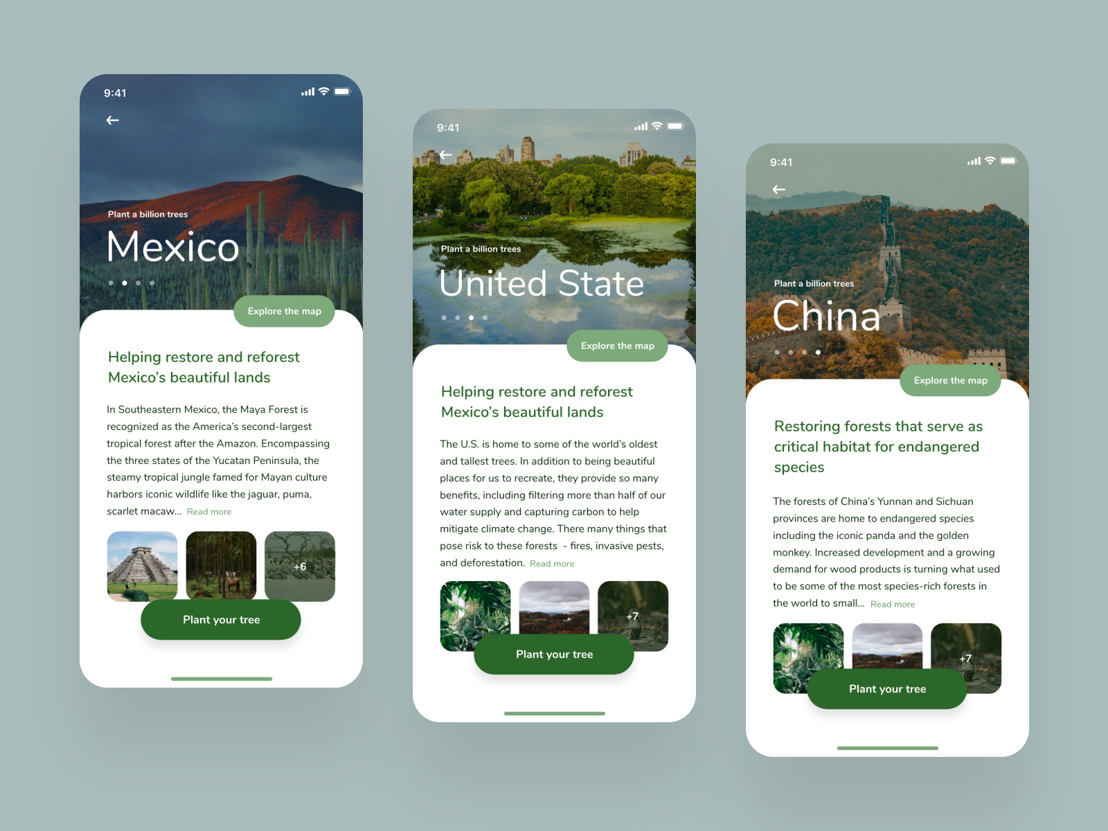 Forest Restoration App Concept - Planting Locations by Judith Ekedi ...