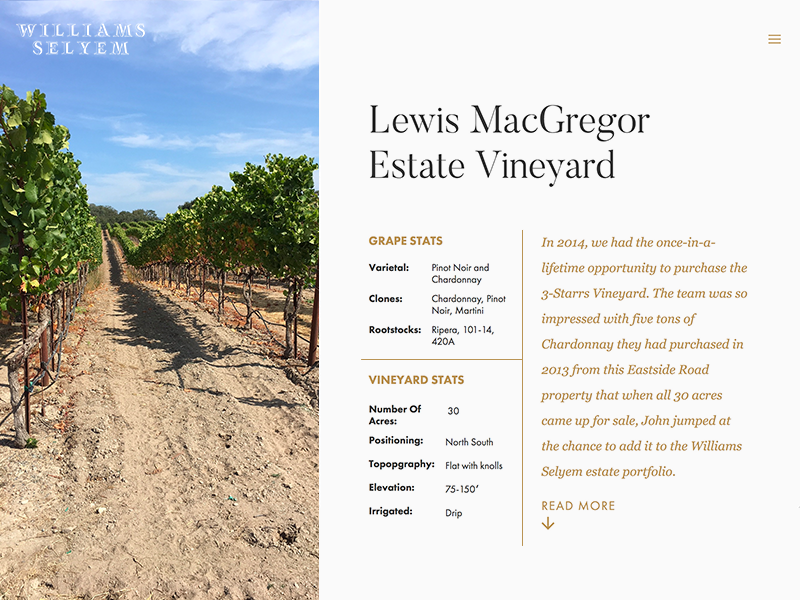 Vineyard Overview by Rafe Goldberg on Dribbble