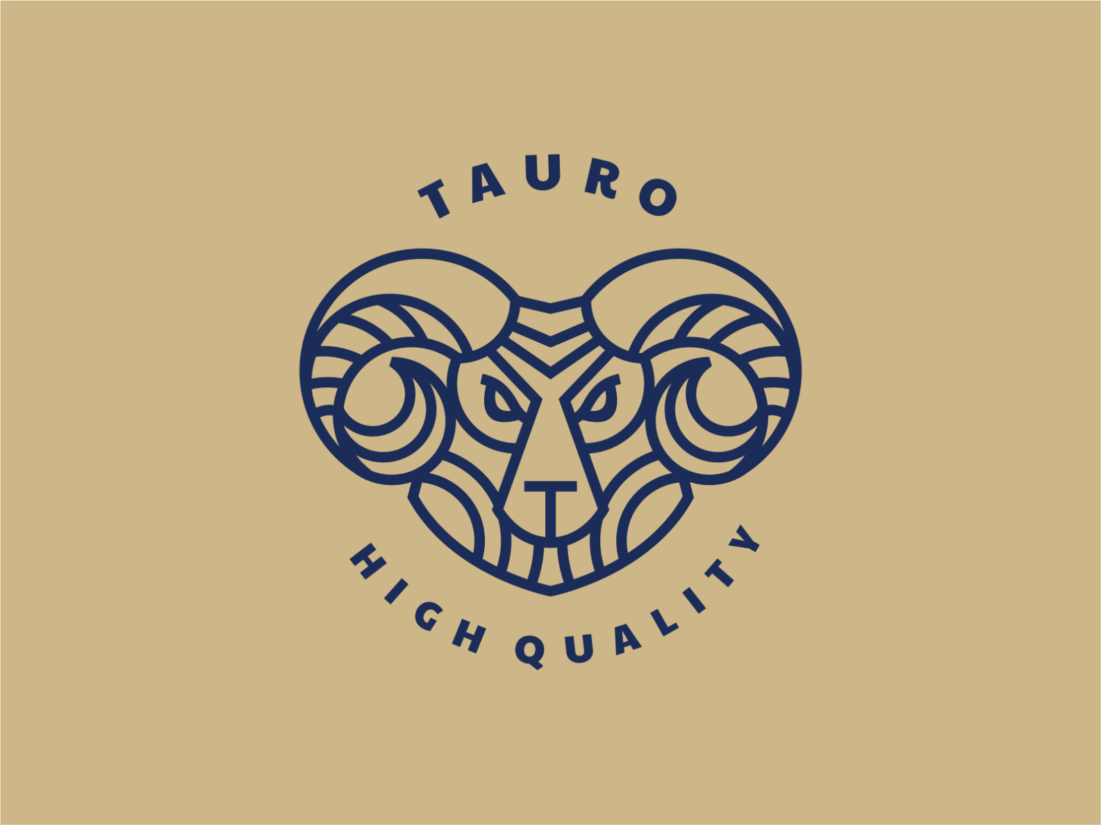 Tauro by farsad studio on Dribbble