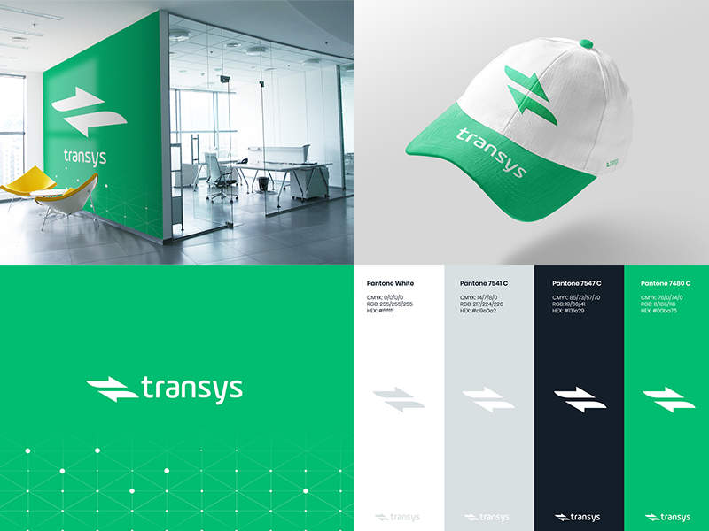 Dribbble - transys.png by Gabor Meszaros