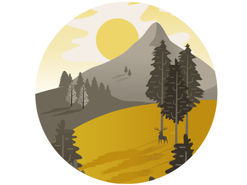 Golden Hour by Sterre Hendriks on Dribbble