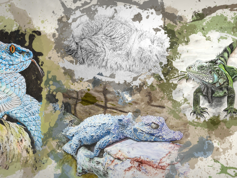 🎨 Cover of the Soph & Art Facebook Page by Julien Carlier on Dribbble