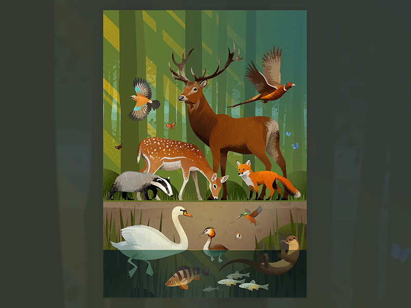 Wildlife Poster by Graham Blake on Dribbble