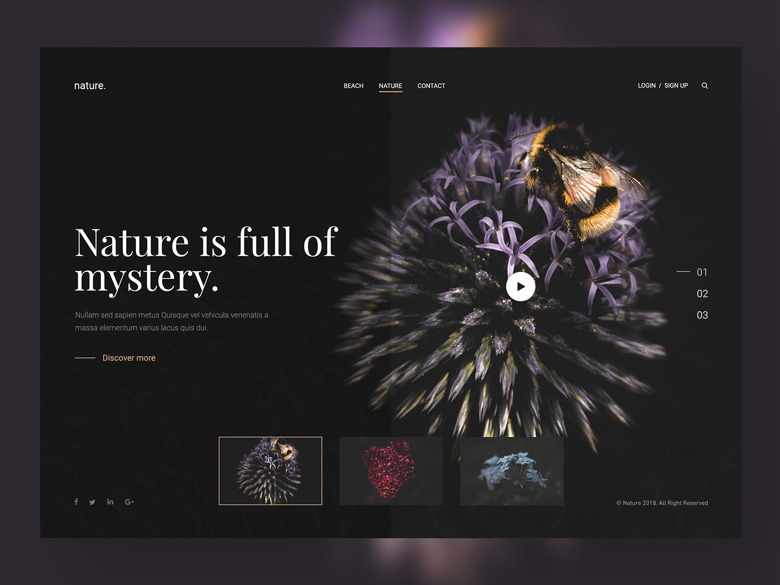 Nature Website Design by Luke Peake for TIB Digital on Dribbble