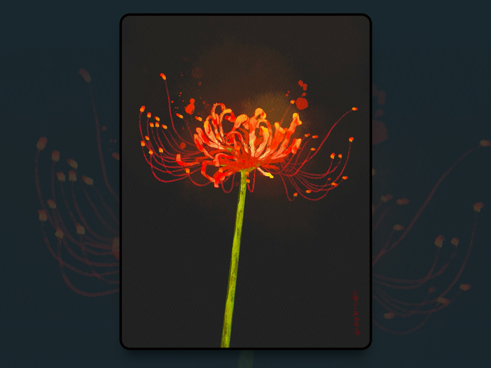 Equinox Flower by Viki on Dribbble